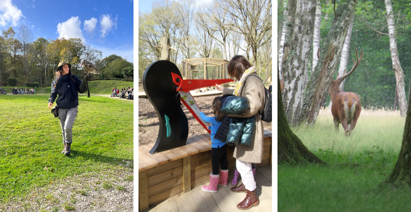 Espace Rambouillet : nouveautés et activités en famille dans le parc ...