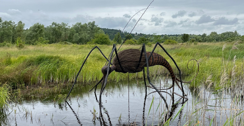 Balade au Parc départemental du Peuple de l'herbe et visite de la ...